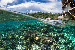 Papua Explorers Resort, Raja Ampat